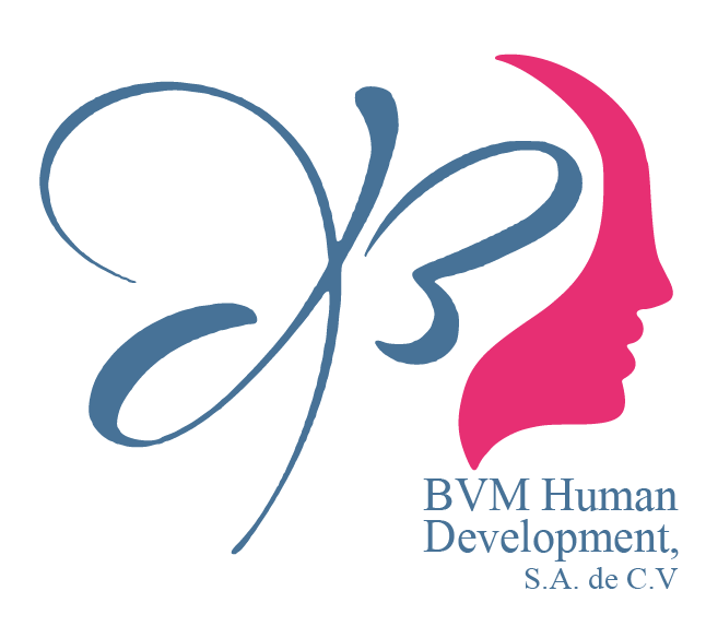 BVM Human – Consultoría de Recursos Humanos con un esquema diferente e ...